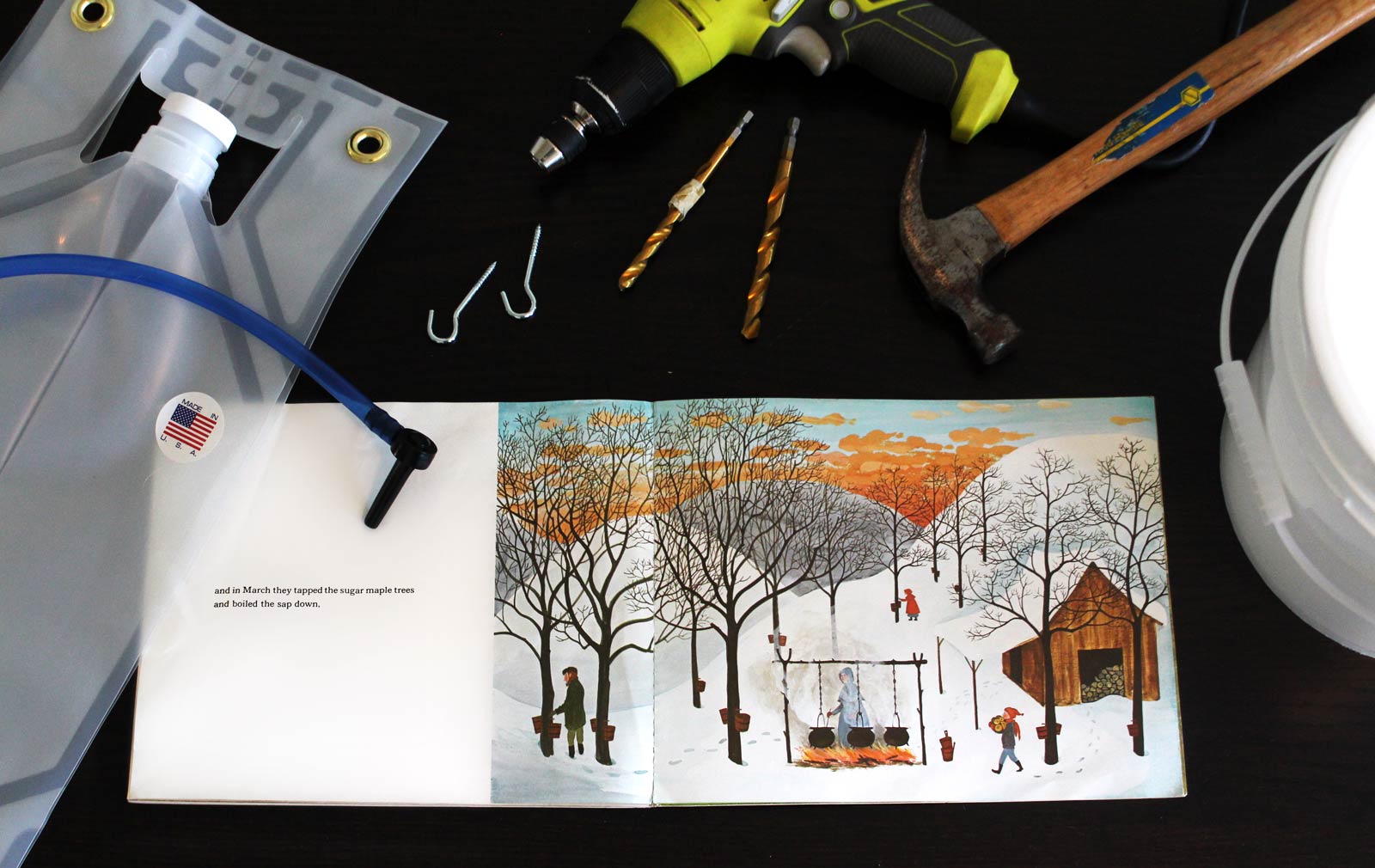 Why and How You Should Tap that Maple Tree in Your Yard : This Inspired ...