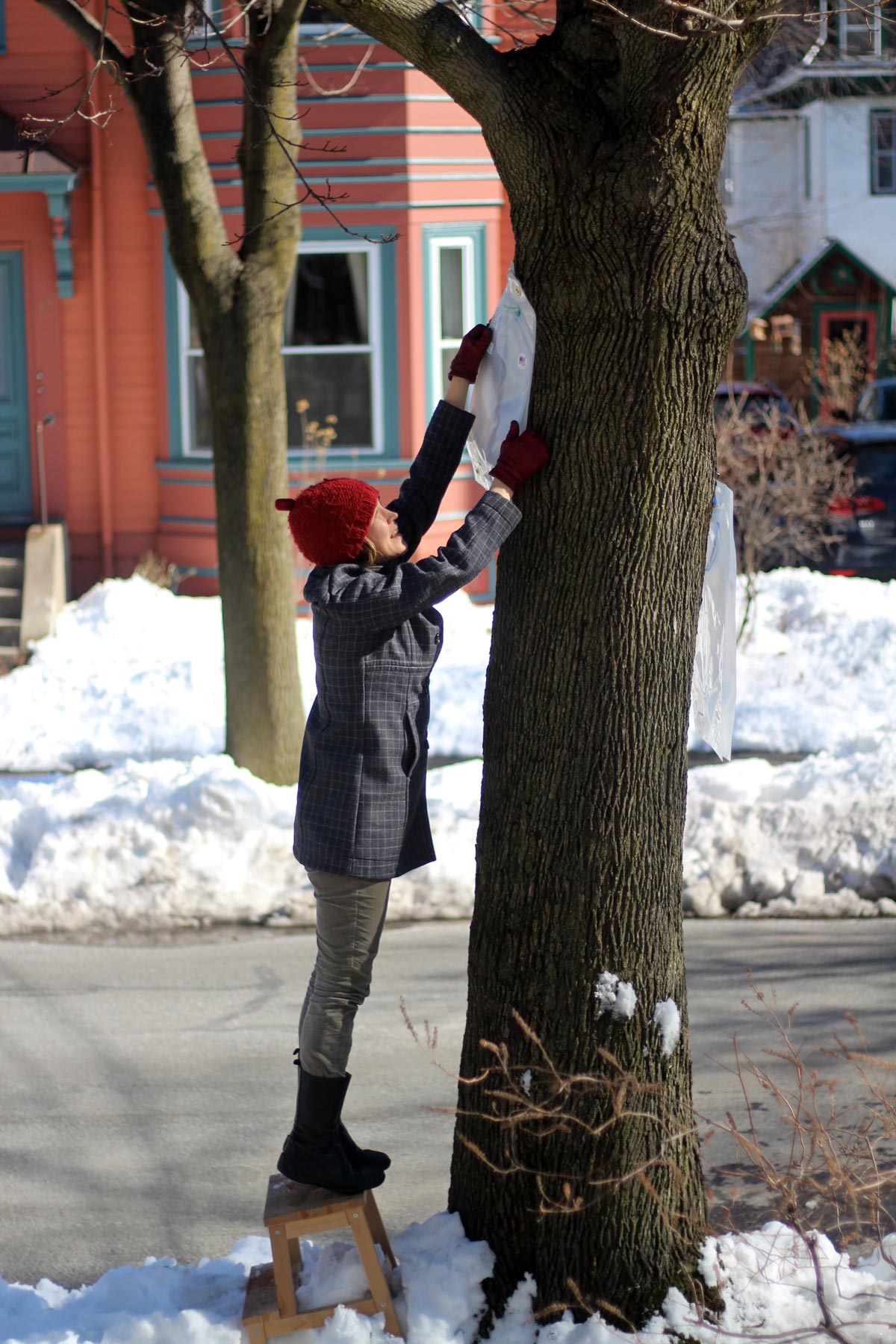 Get Started Maple Syruping on Your Urban Homestead : This Inspired Life